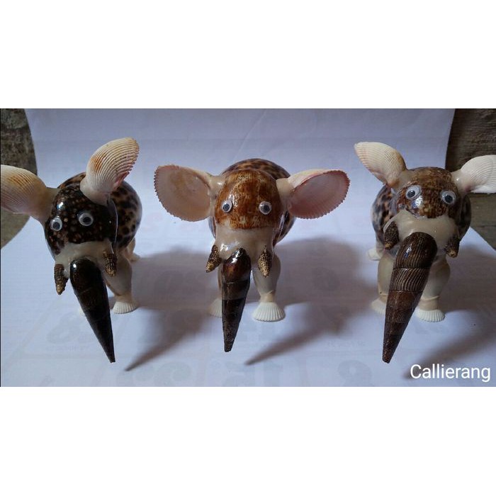 Elephant Clamshell Display | Shopee Philippines