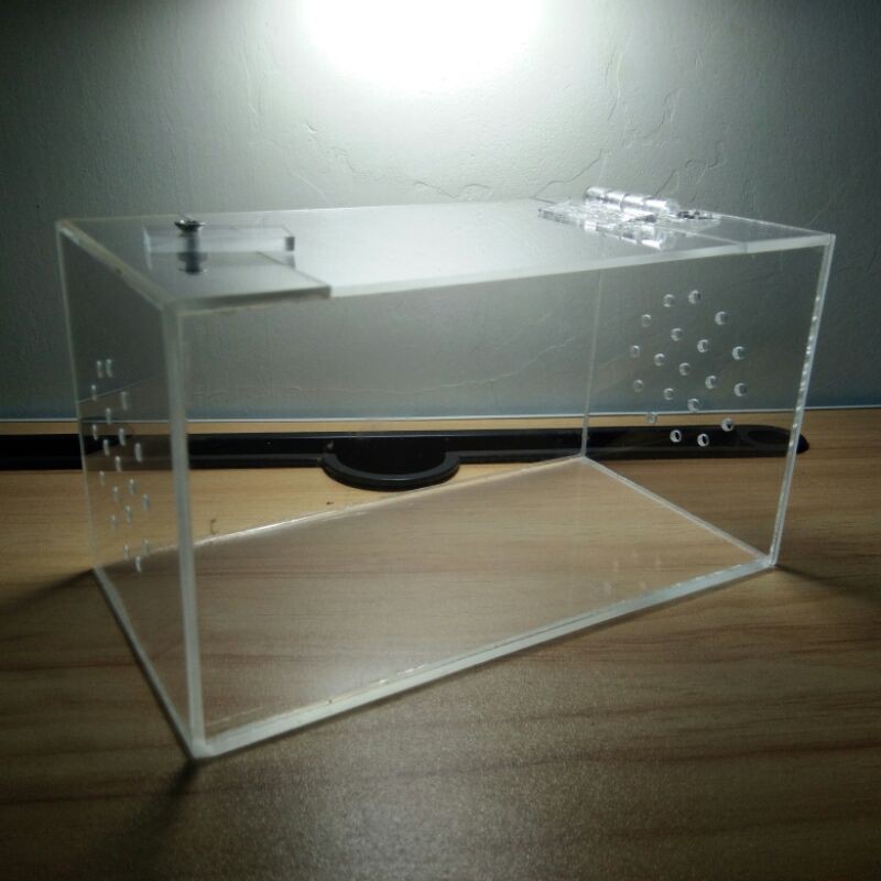 3x3x6 inches acrylic enclosure for tarantula and pets tarantula exotic ...