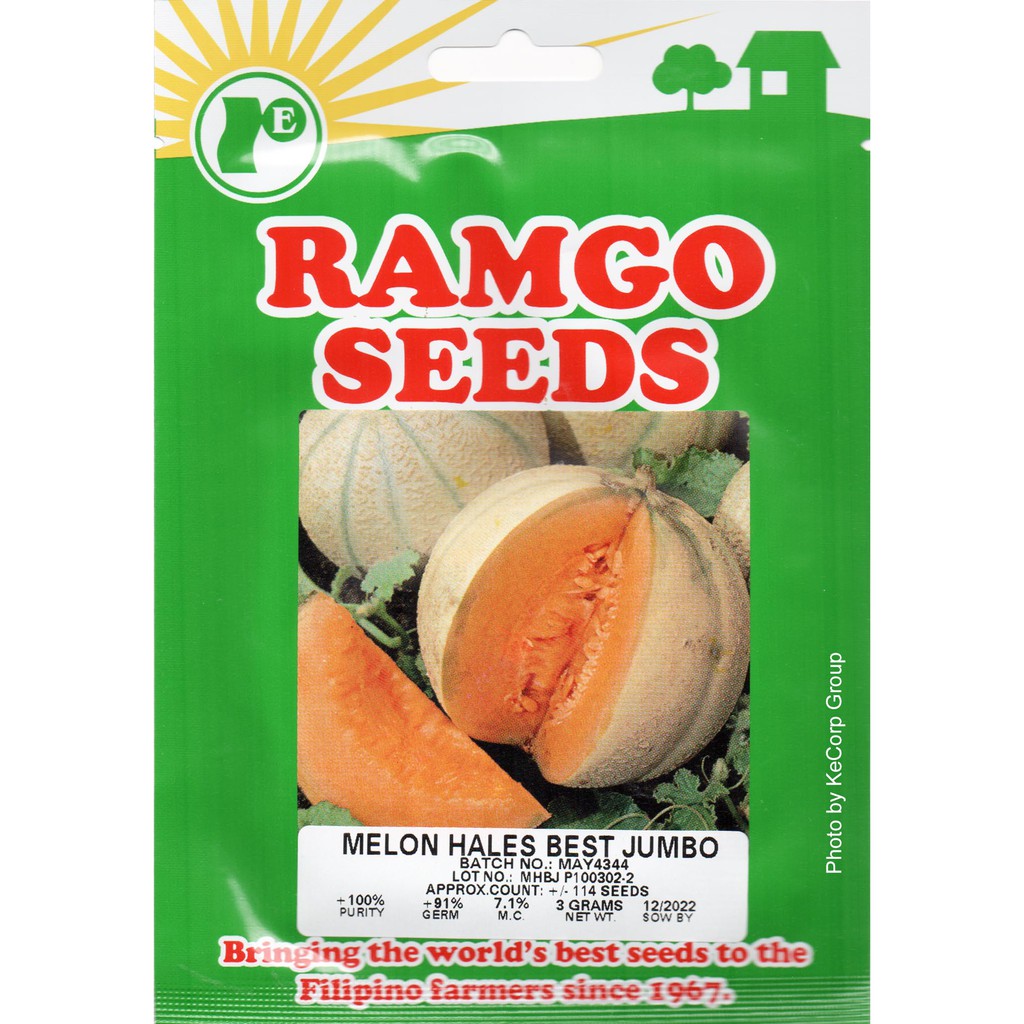 Ramgo Seeds - Sold per Pack per Variety KECORP_S1 | Shopee Philippines