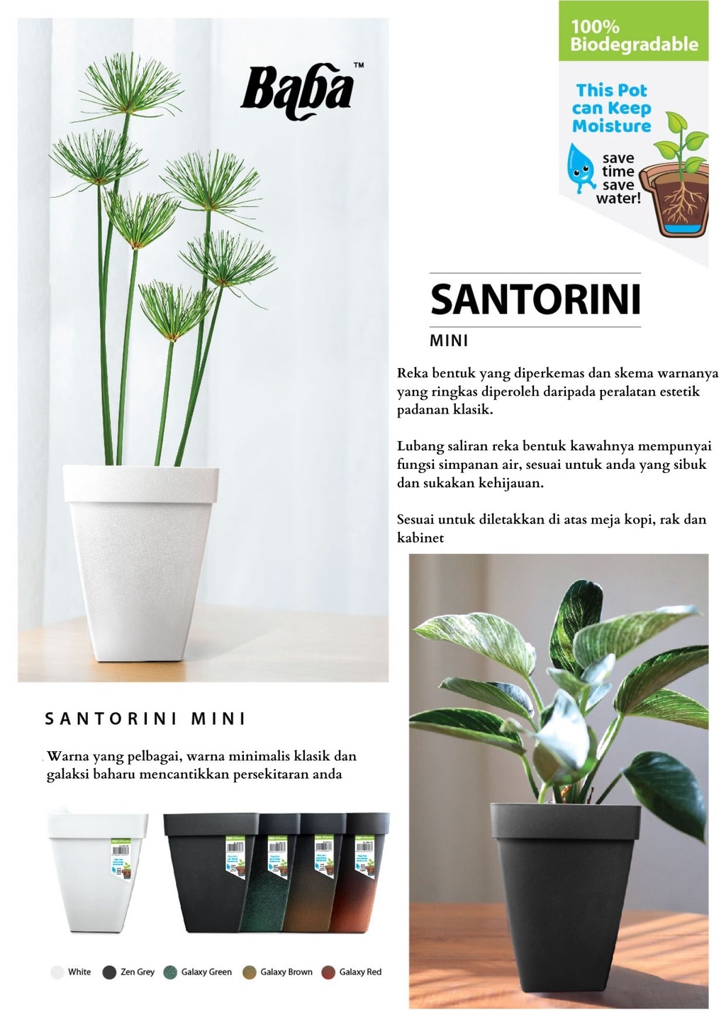 Baba Official Baba Mini Santorini BI-SPH-145 Biodegradable Square Pot ...