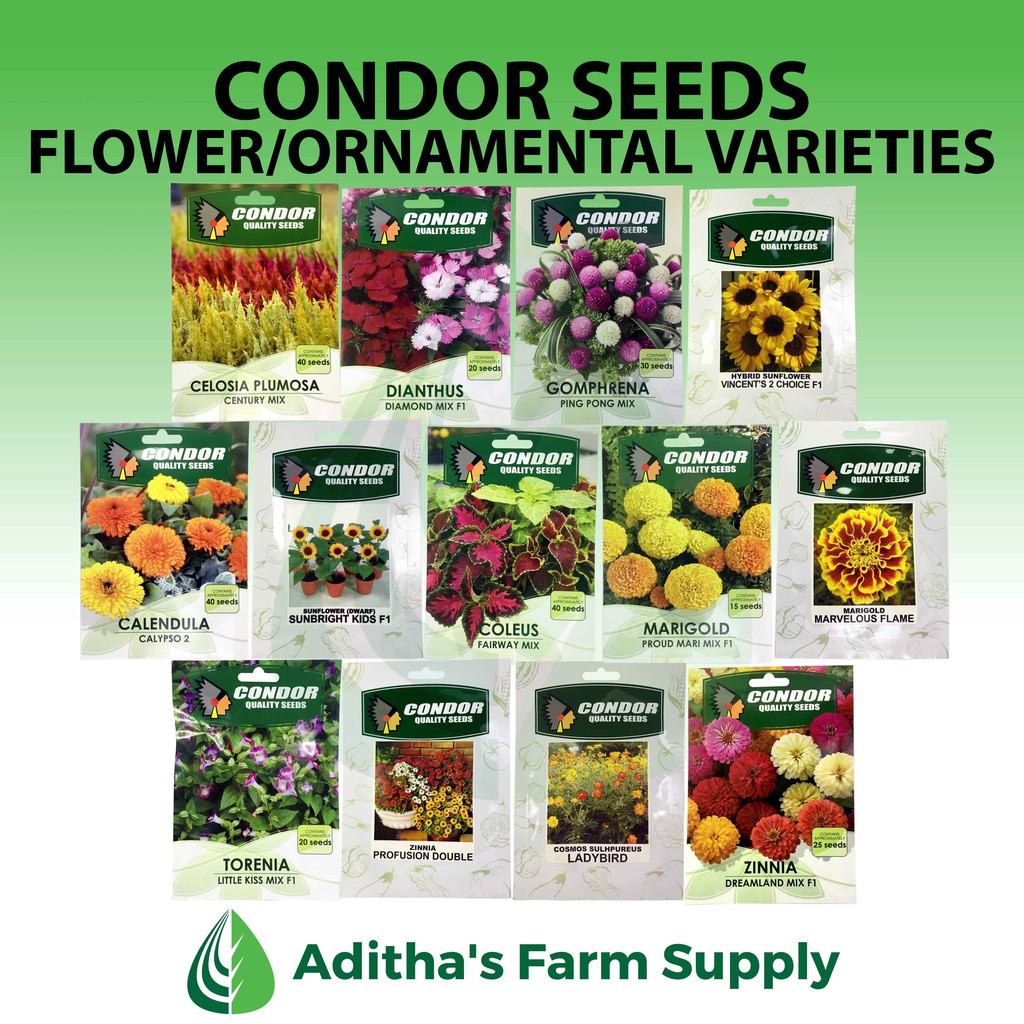 Set A: Condor Seeds: Flower / Ornamental Varieties | Shopee Philippines