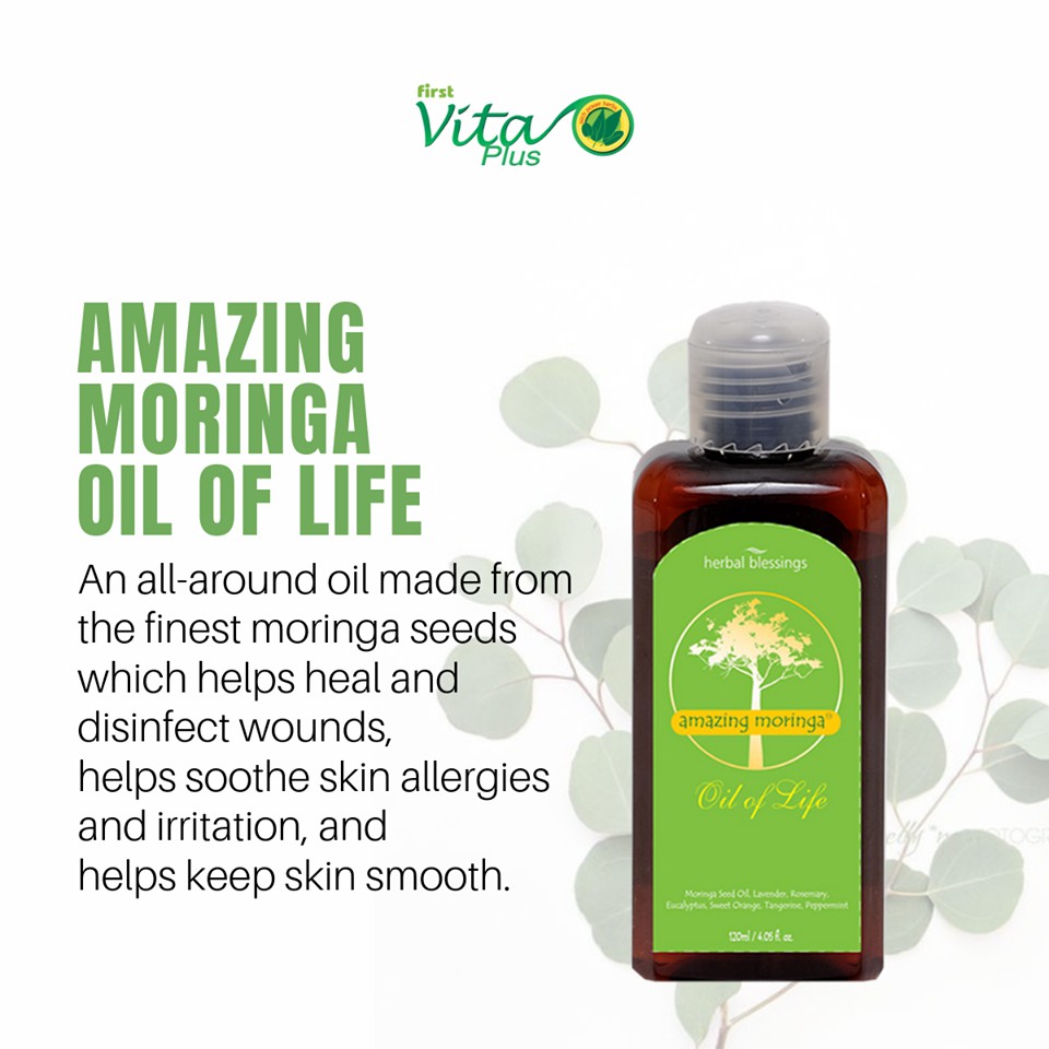 Moringa Oil - Malunggay Mosquito Repellent Hair Grower Disinfect Wound ...