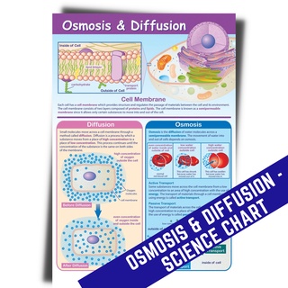 OSMOSIS AND DIFFUSION POSTERS CHARTS I ALL ABOUT SCIENCE CHARTS, A4 ...
