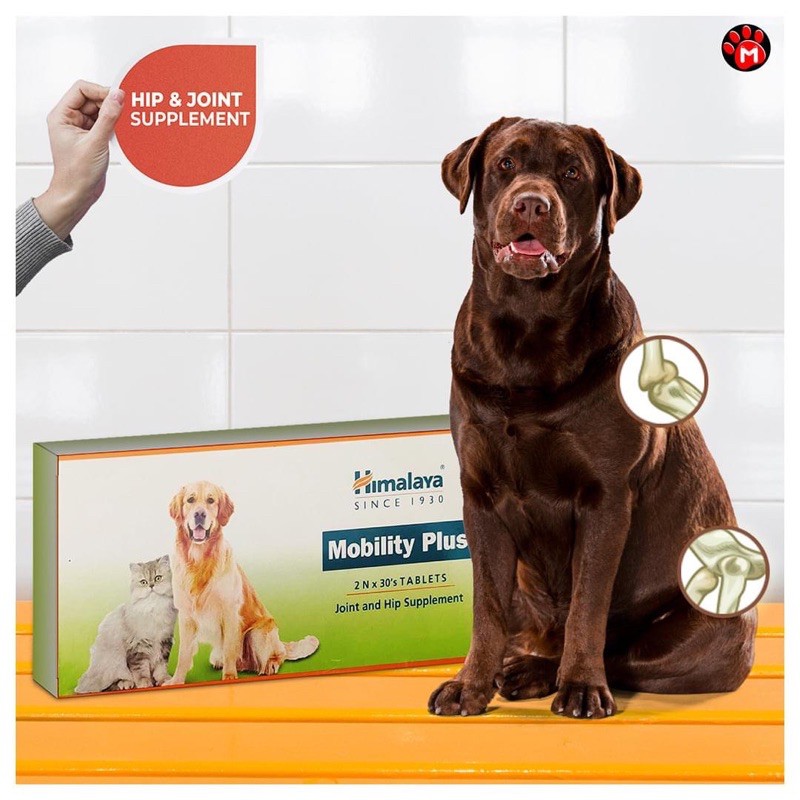 Himalaya Mobility Plus Joint And Hip Supplement for dogs & cats,30tabs ...