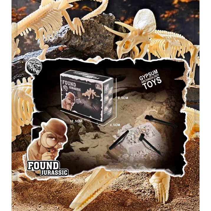 Found Jurassic Dinosaur Fossil Craft Art For Kids Party Gift Gypsum ...