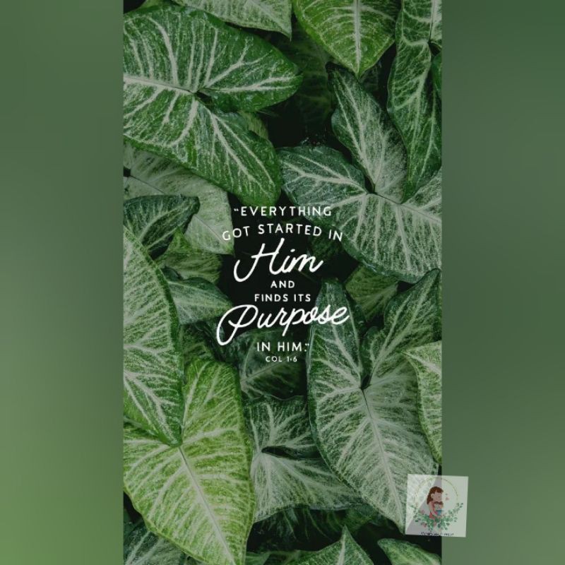 COD TROPICAL THEME BIBLE VERSES/ QOUTES wall decor a4 size Laminated ...