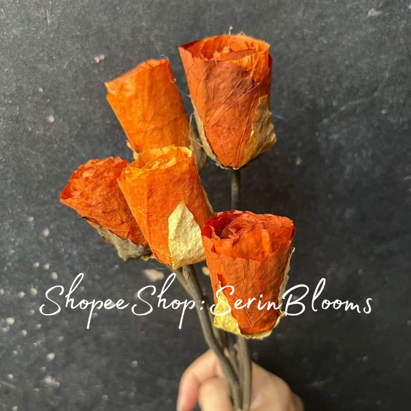 Fossilized Rose buds (1 stem only) | Shopee Philippines