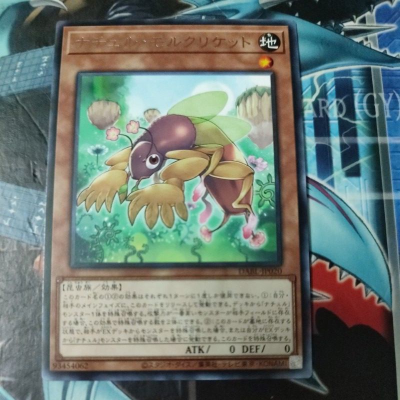 Yugioh Card 游戏王 Naturia Molcricket DABL-JP020 | Shopee Philippines