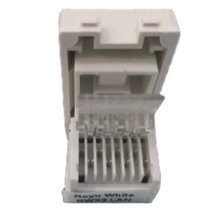 ROYU LAN Outlet, Internet Outlet, Data Outlet, RJ45 Outlet CAT6 - RWX3 ...