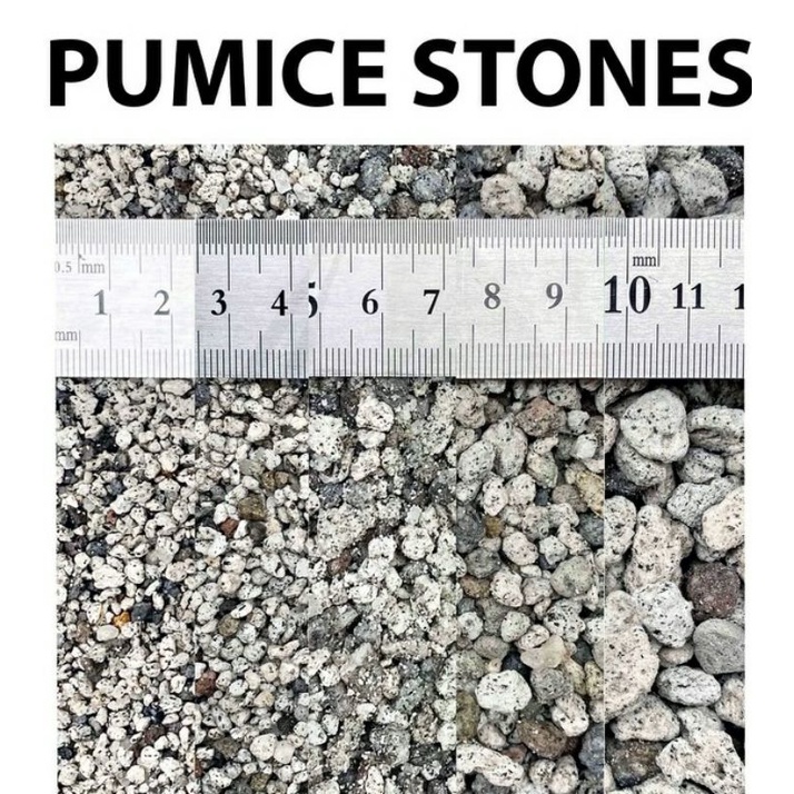 MiX PUMICE STONES FOR PHILODENDRON PLANTS SOIL MIX | Shopee Philippines