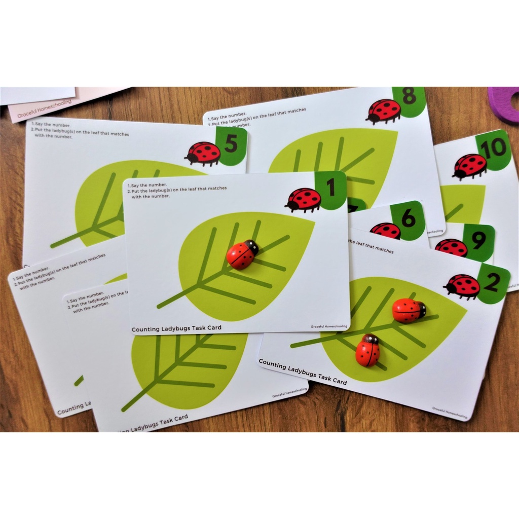 Math: Counting Activity (Counting Ladybugs) Math Flashcards | Shopee ...