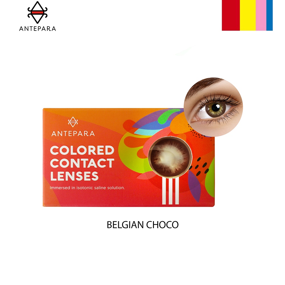 Antepara Belgian Choco Monthly Disposable Colored Contact Lens 1 Box ...
