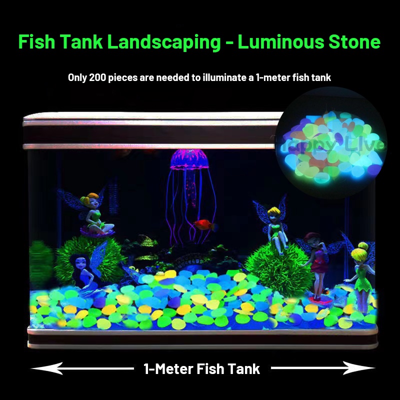 100 pieces of luminous stone aquarium fish tank bonsai garden luminous ... 100 pieces of luminous stone aquarium fish tank bonsai garden luminous ...