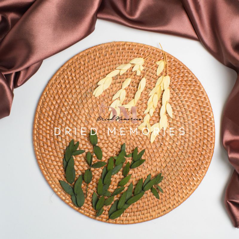 Dried Small Parvi Leaves Real Dried Flowers Gift Wedding Party Home ...