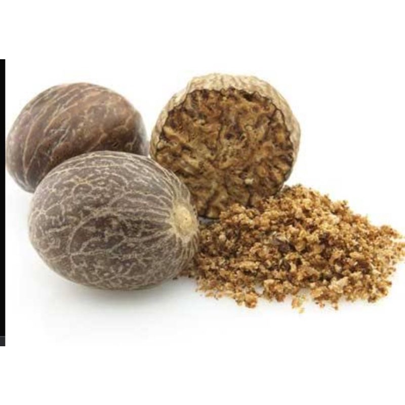 Duguan Seeds or NetMeg (5pcs per Order) | Shopee Philippines
