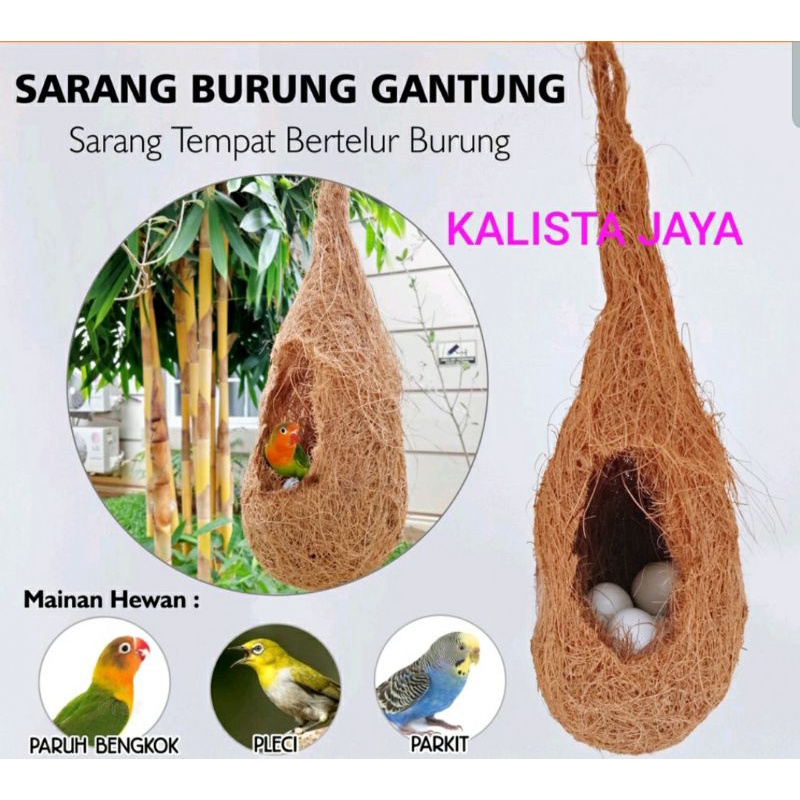 Susuh MANUK BIRD Egg Holder LOVE BIRD Walnut Parakeet Magpie | Shopee ...