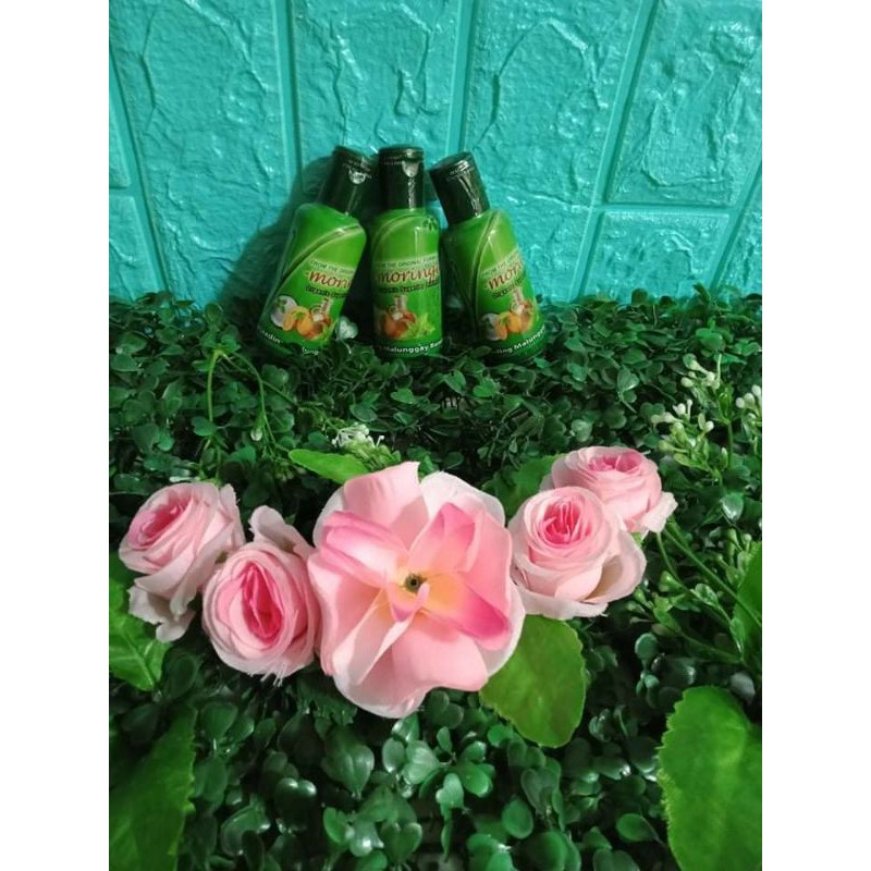 Moringa superior liniment Original | Shopee Philippines