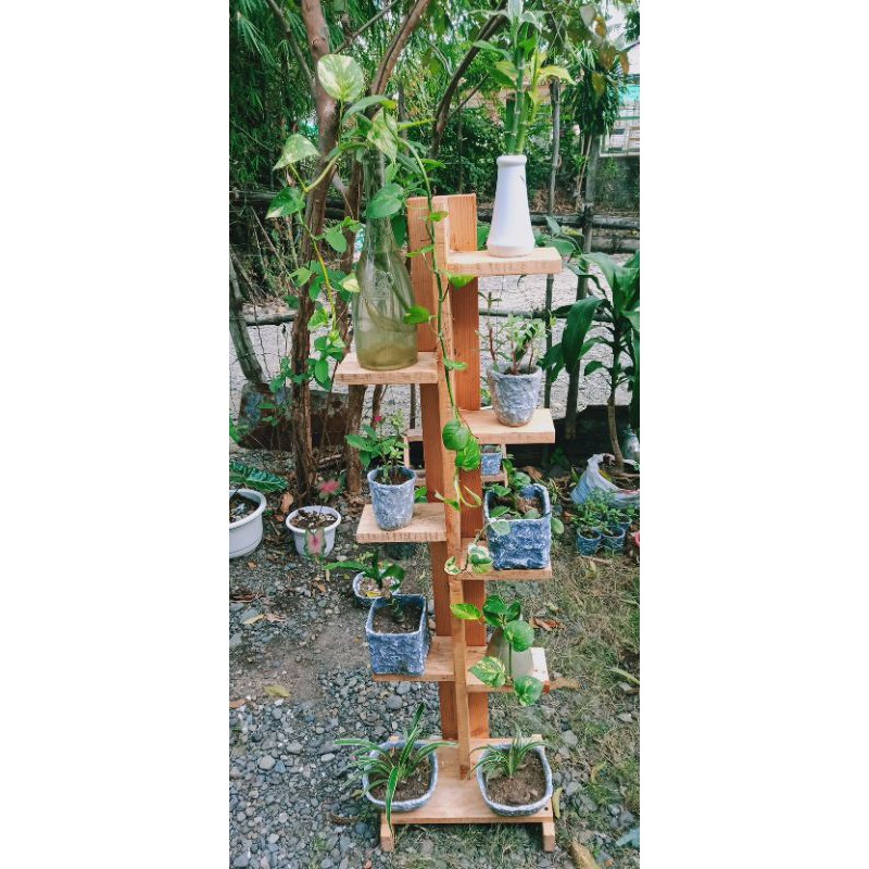 Plant Rack Palochina 3.5" 4" 14x8x44 | Shopee Philippines