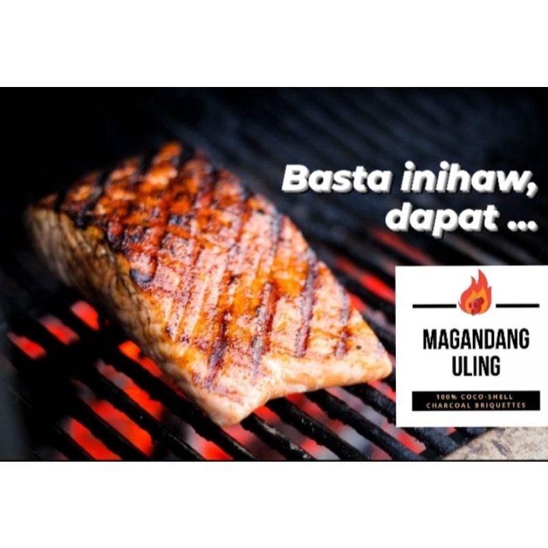 Magandang Uling Smokeless Charcoal Briquettes 5cm Coco Shell for ...