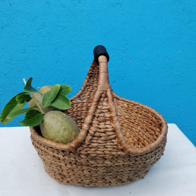 NATIVE PICNIC BASKET FRUIT BASKET BREAD BASKET WOVEN RATTAN KITCHEN ...