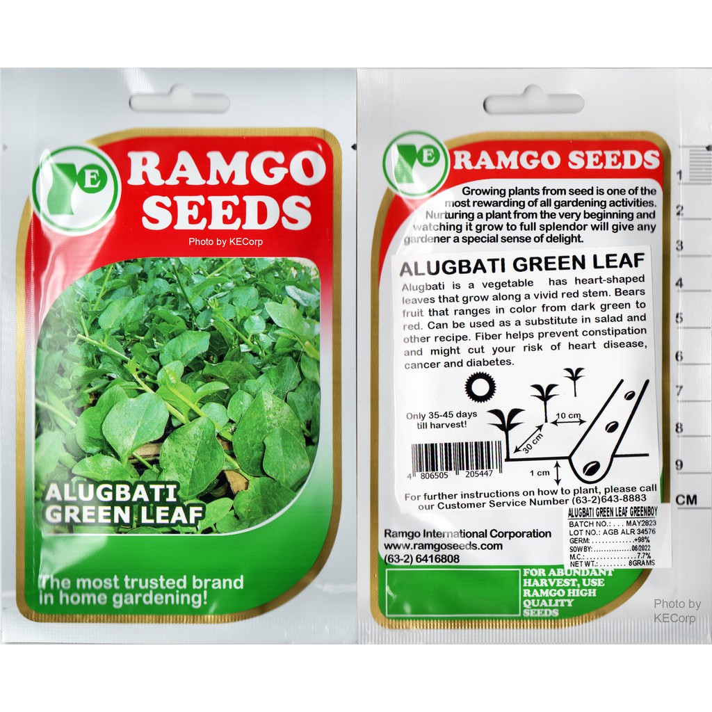 Ramgo Seeds Sold Per Pack Per Variety - Alugbati Cabbage Bunching Onion ...