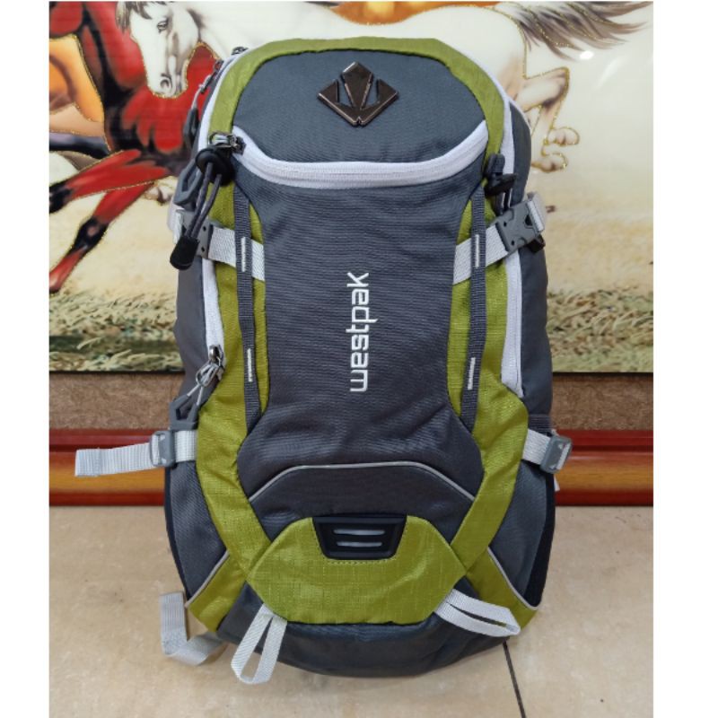 Westpak College School Work Backpack | Shopee Philippines