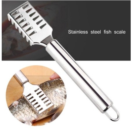 Fish Scale Remover Scraper Brush Stainless Steel | Shopee Philippines