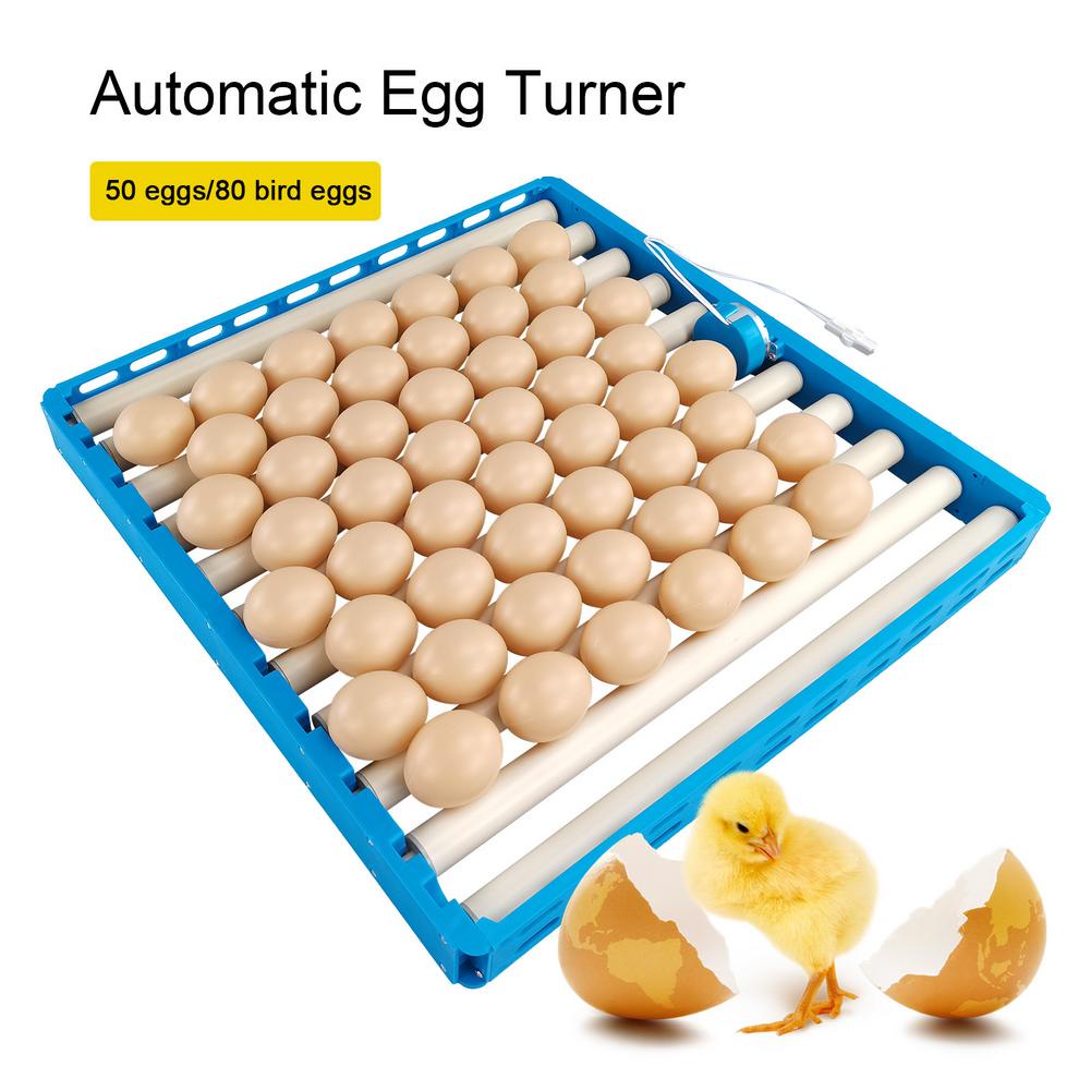 50 Eggs/80 Bird Eggs Automatic Rotary Egg Turner Eggs Incubator Roller ...