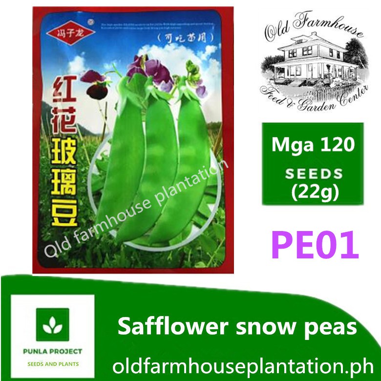 Promo Sale Chinese Big Variety Snow Pea Sitsaro Vegetable Seeds ( 30 ...