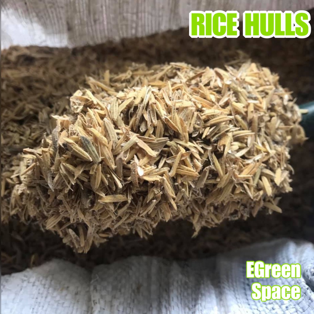 Shop rice husk for Sale on Shopee Philippines