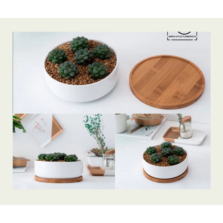 16 cm. Round Ceramic Porcelain Plant Pot/Dish with Removable Bamboo ...