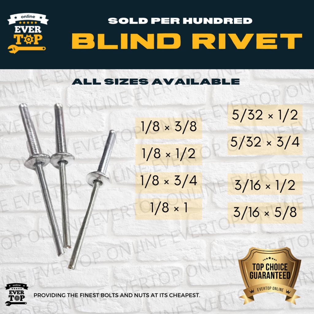 BLIND RIVETS 100PCS ALL SIZES AVAILABLE EverTop Online Shopee