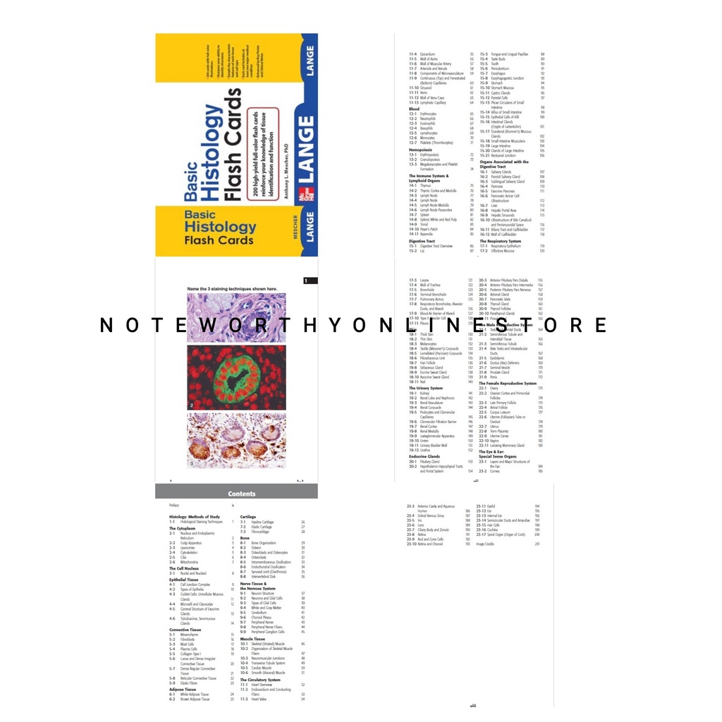 Medicine Students' Lange Basic Histology Flash Cards Printed PLE Review ...