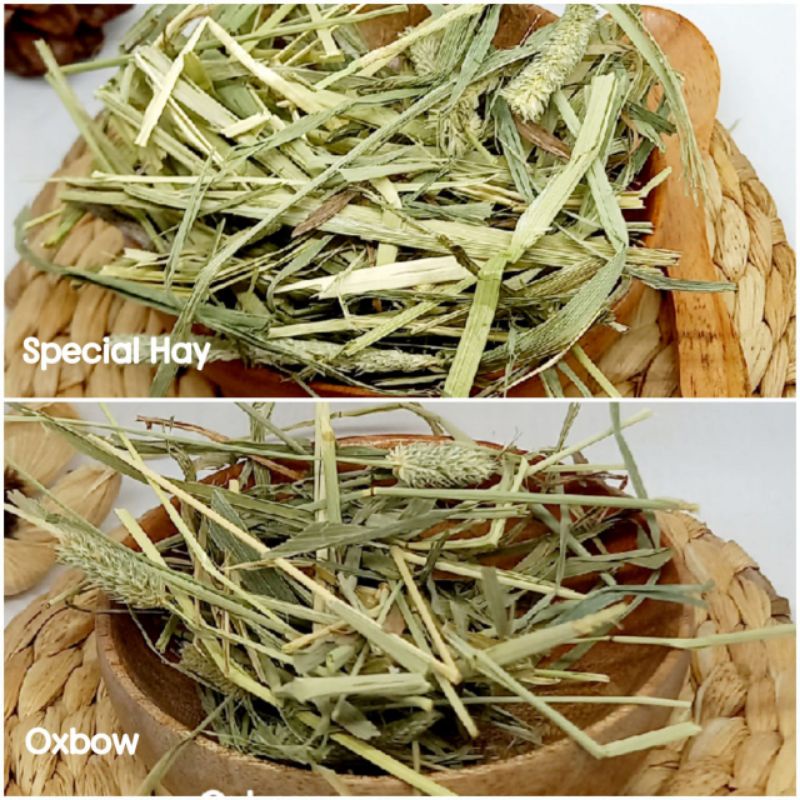Timothy Hay Grass for Rabbits Guinea Pigs 25grams | Shopee Philippines