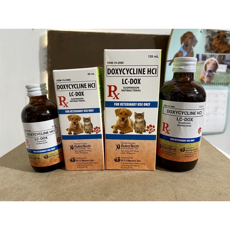 Lc Dox Suspension 60ml/120ml Doxycycline (for dogs and cats) over-the ...