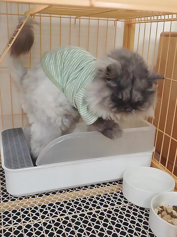 Mobile Cat Cage Large Kulungan Ng Pusa 2 3 4Level Pet Cage Cat House ...