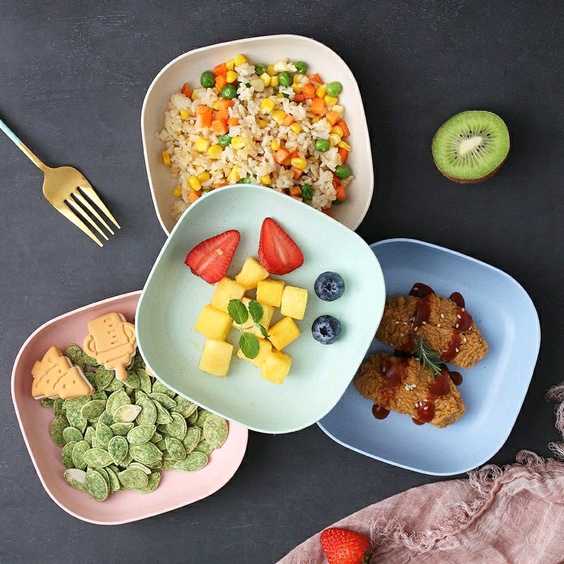 Unique Plastic Dinner Plates For Fruit Vegetable Containers SNACK Cake ...