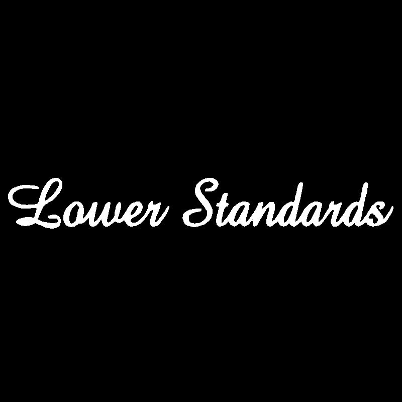 Lower Standards Vinyl Decal Car Window Sticker JDM Lowered Drift Euro ...