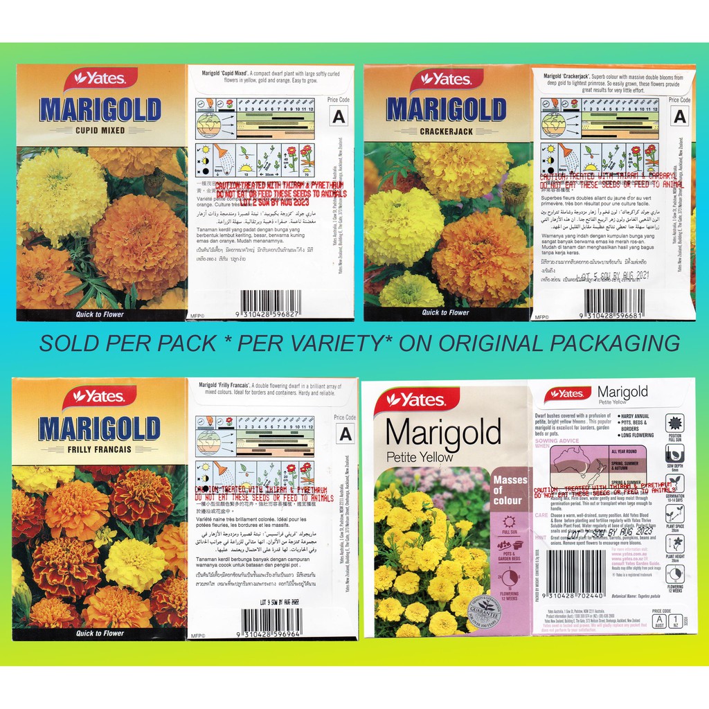 Yates YPF Seeds Marigold - Sold Per Pack Per Variety (ORIGINAL ...
