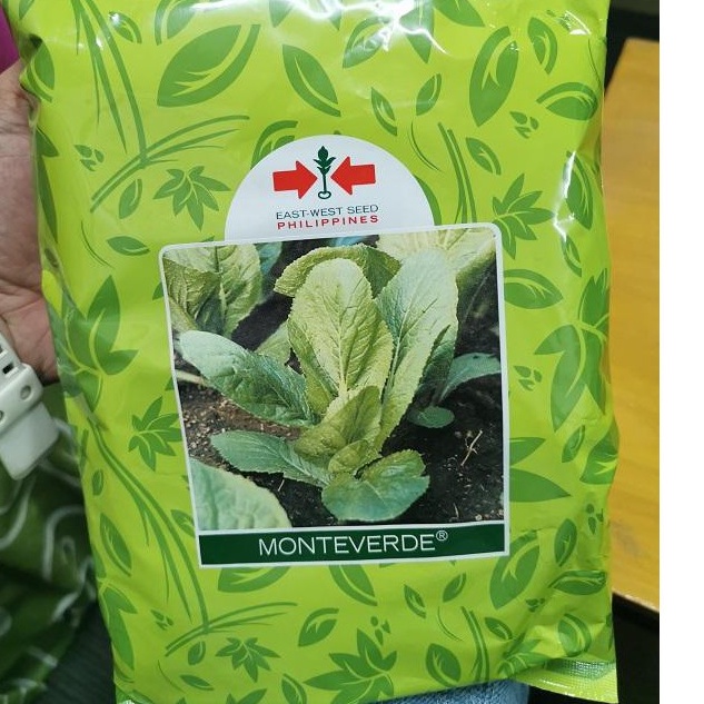 MONTEVERDE MUSTASA SEEDS BY EASTWEST 1KG | Shopee Philippines