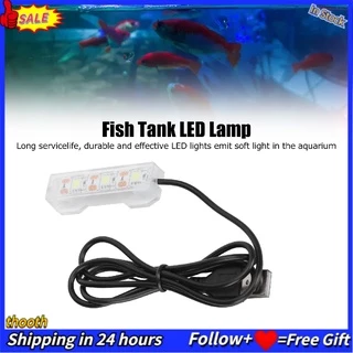 USB Desktop Aquarium - intl - Best Prices and Online Promos - Jun 2024 ...