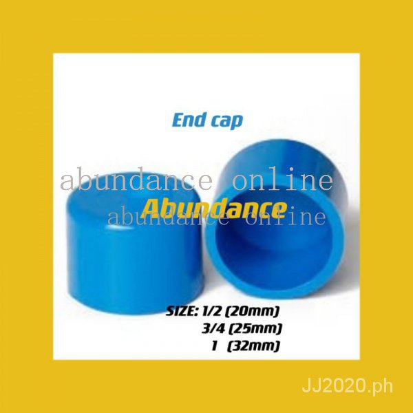 PVC BLUE PIPE FITTINGS END CAP 1/2 3/4 1INCH | Shopee Philippines