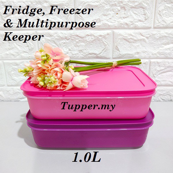 Tupperware Chill Freeze FM Freezermate 1L | Shopee Philippines