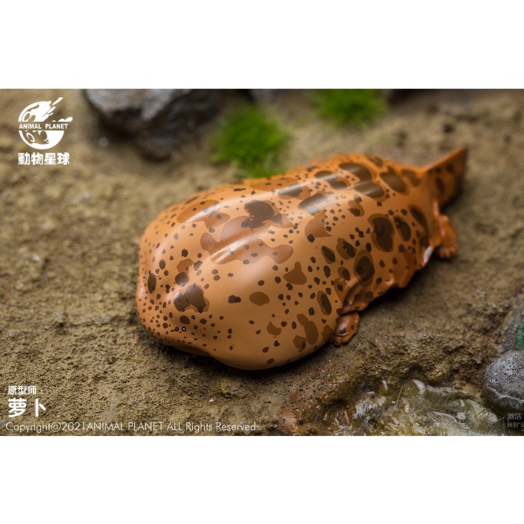 Animal Planet Heart Wide Body Fat Chinese Treasure Series Yangzi ...