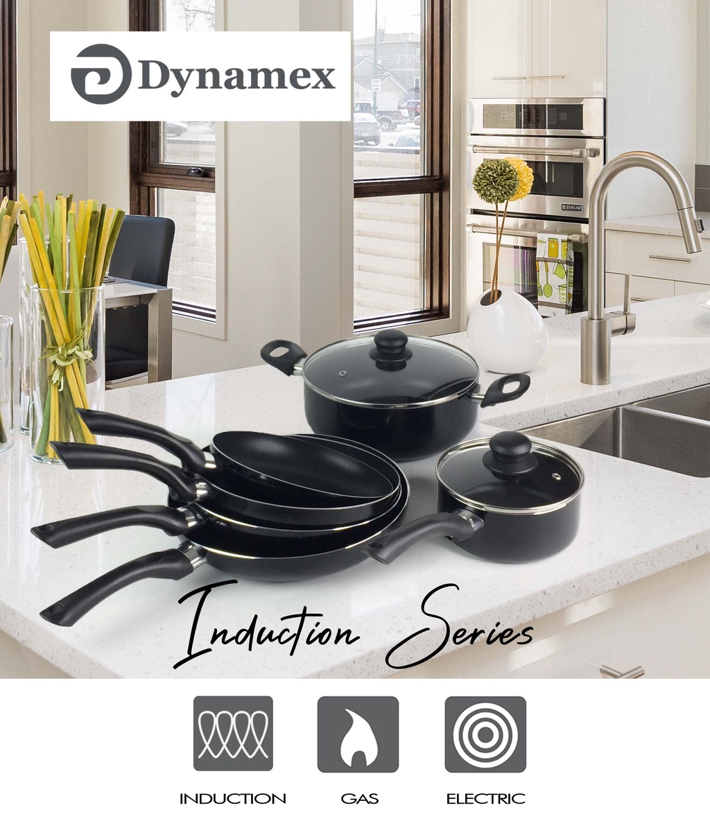 Dynamex 20cm Induction Casserole w/ Lid | Shopee Philippines