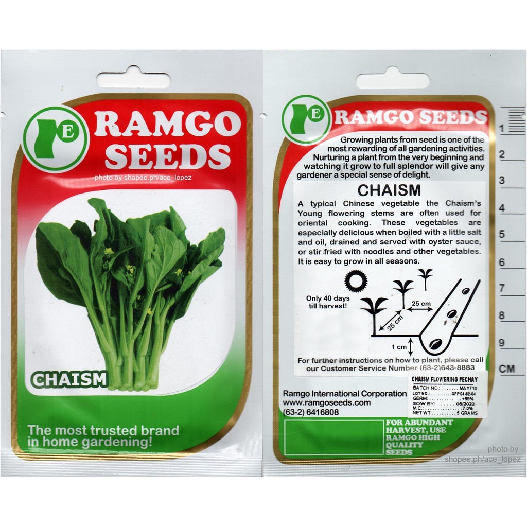 Ramgo RGS Green Leafy Seeds - Sold per Pack per Variety _ALS2127 ...