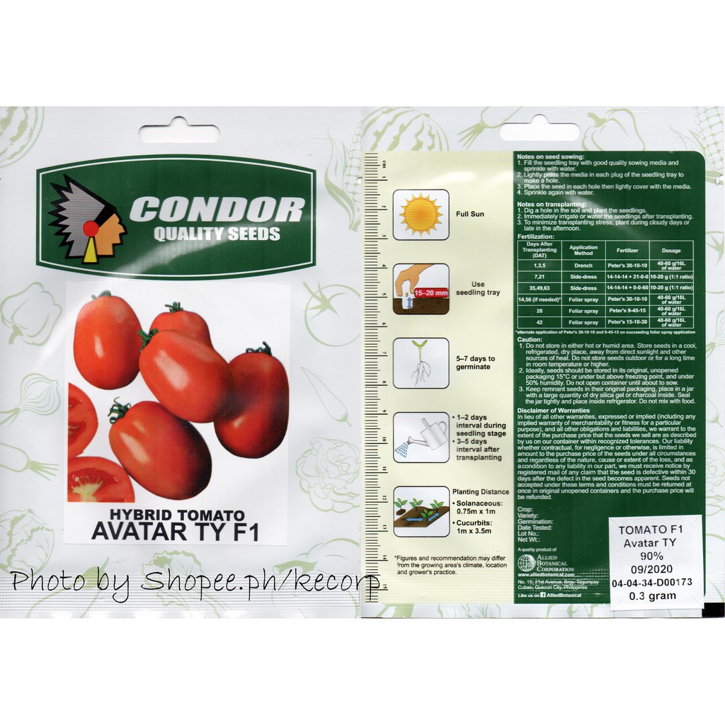 Ramgo Condor Yates East West Tomato Seeds - Sold per Pack per Variety ...