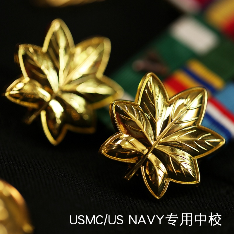 USMC U.S. Marine Corps Dedicated Lieutenant Colonel Rank USNAVY ...