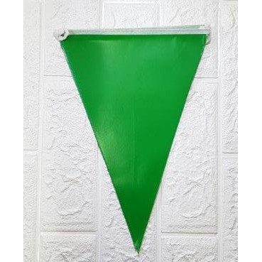 Green Party Banderitas Triangle Flag Banner Birthday Christening Reveal ...