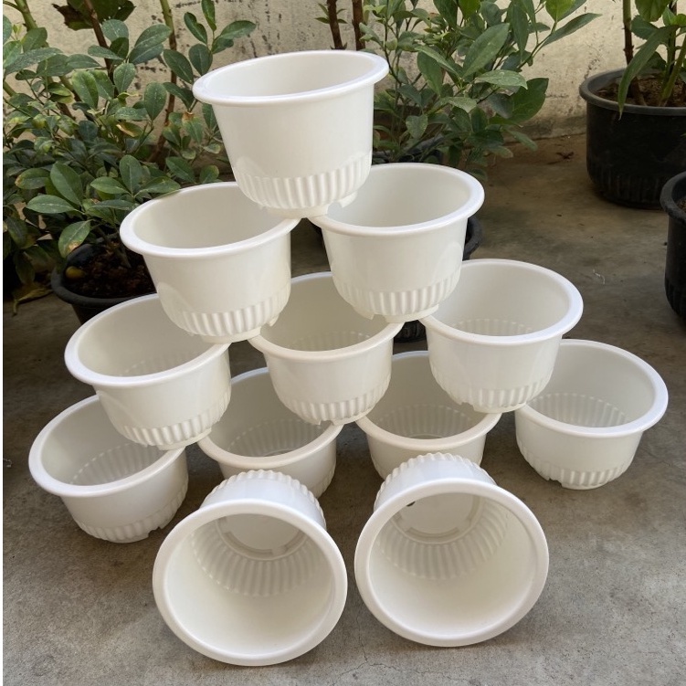 Shop pot for Sale on Shopee Philippines